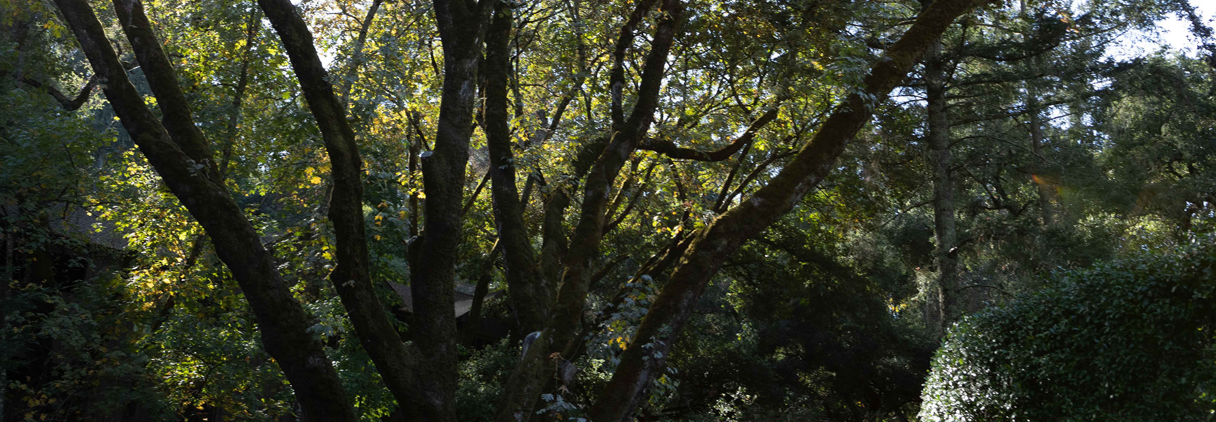 Membership Plan | Meadowood
